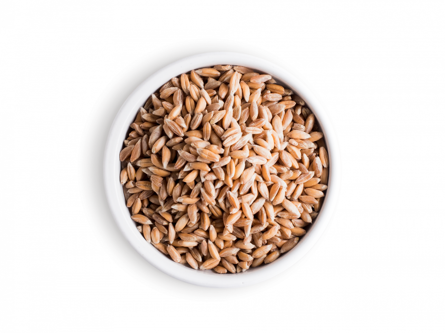 Emmer: Getreide mit Potenzial - back.intern.